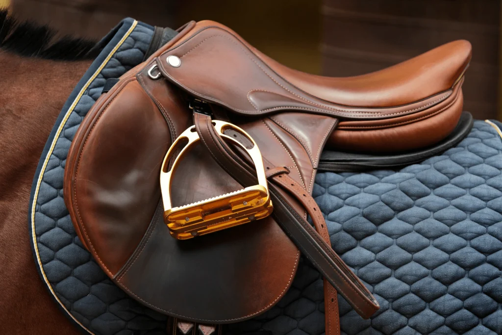 Understanding 5 Amazing Types of English Saddle